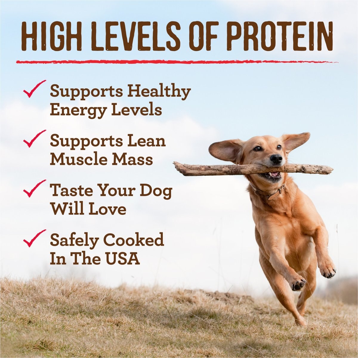 MERRICK Kitchen Comforts Chicken & Rice Wet Dog Food, 12.7-oz can, case ...