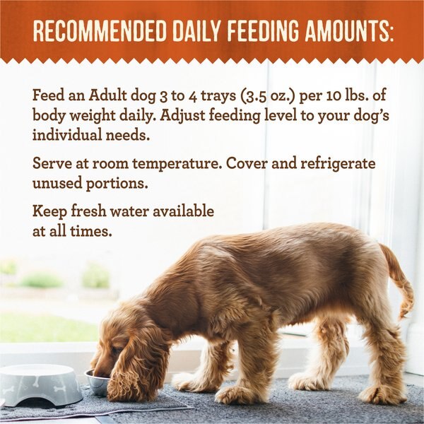 MERRICK Lil’ Plates Dinner Duos Teeny Texas Steak Tips Dinner & Tiny ...