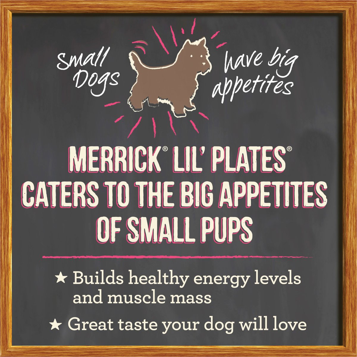 MERRICK Lil' Plates Petite Pates Grain-Free Small Breed Wet Dog Food ...