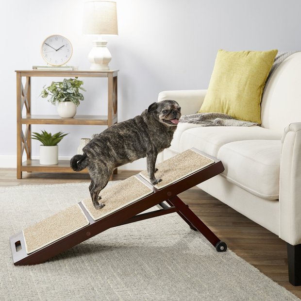 Dog Ramps - Free shipping | Chewy