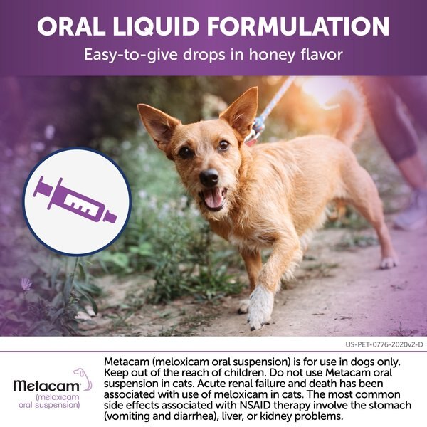 METACAM (Meloxicam) Oral Suspension for Dogs, 1.5 mg/mL, 100-mL - Easy ...