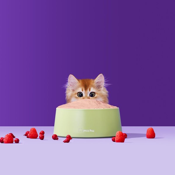 MICHU Rainbow Mousse Chicken with Cranberry Flavor Pate Wet Cat Food, 1 ...