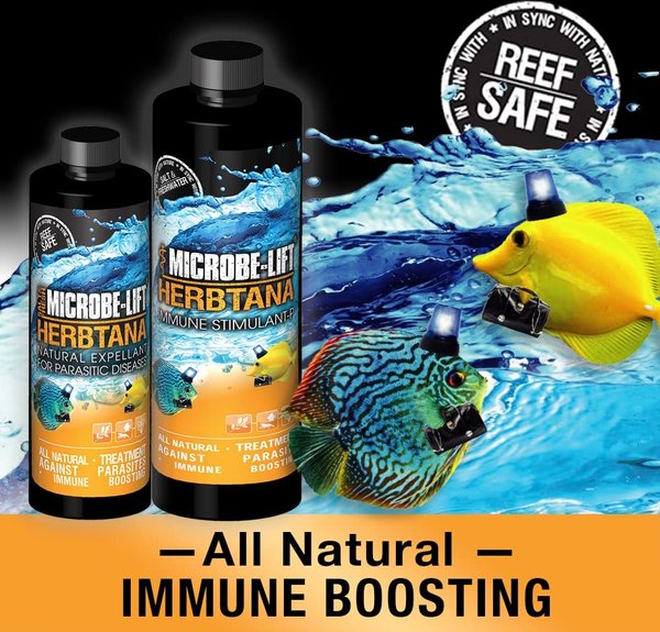 MICROBE-LIFT Herbtana Salt & Freshwater Fish Treatment, 16-oz bottle ...