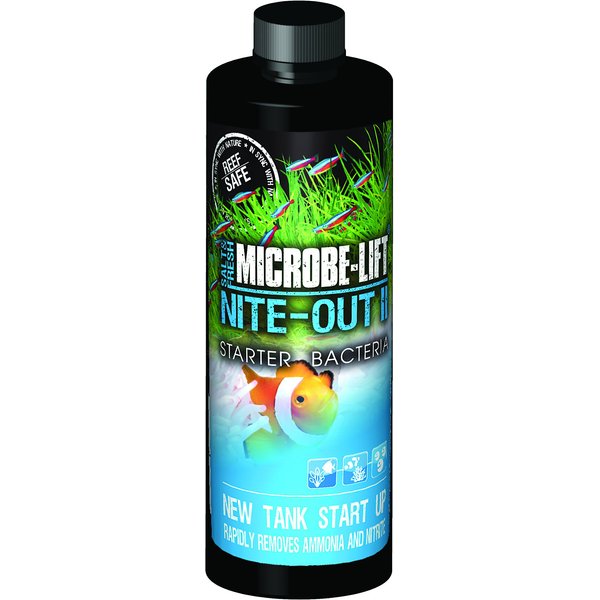 API Aquarium Start-Up Pack - Chewy.com