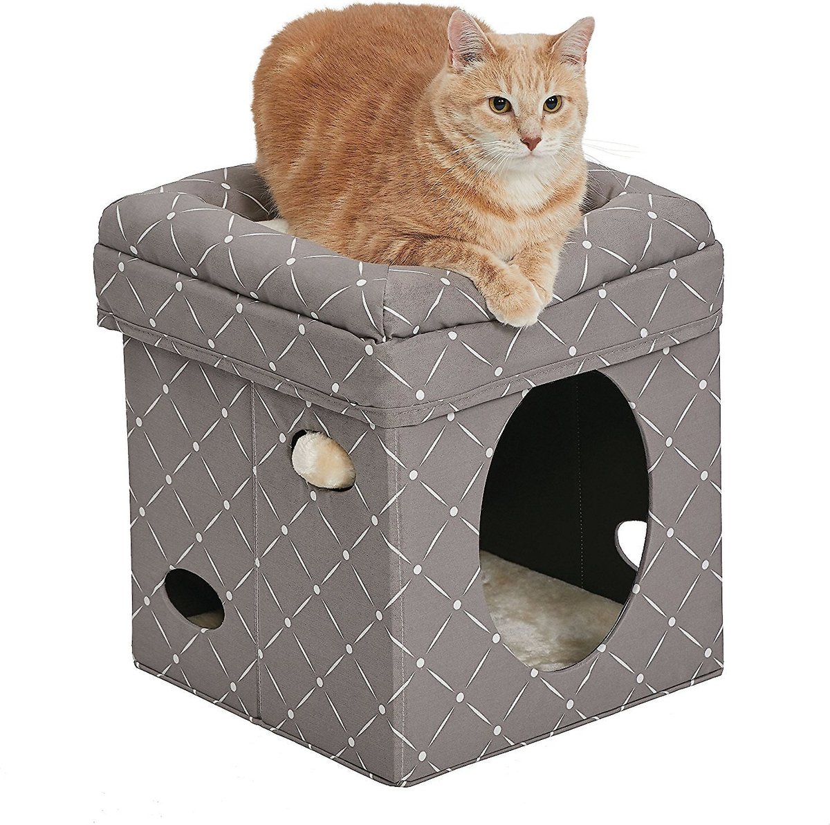 MIDWEST Curious Cube Cat Condo, Geometric Mushroom - Chewy.com
