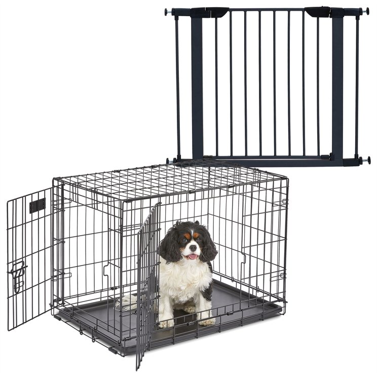Dog Crates & Kennels - Page 14 (Free Shipping) | Chewy