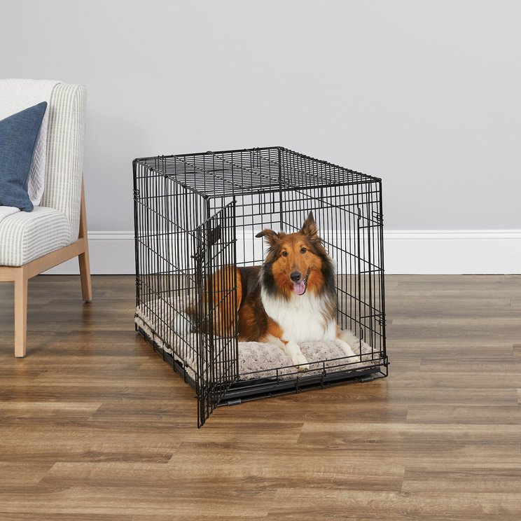 Modern Dog Crates (Free Shipping) | Chewy