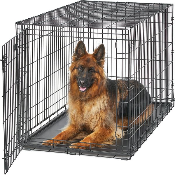MIDWEST LifeStages Single Door Collapsible Wire Dog Crate, 48 inch ...