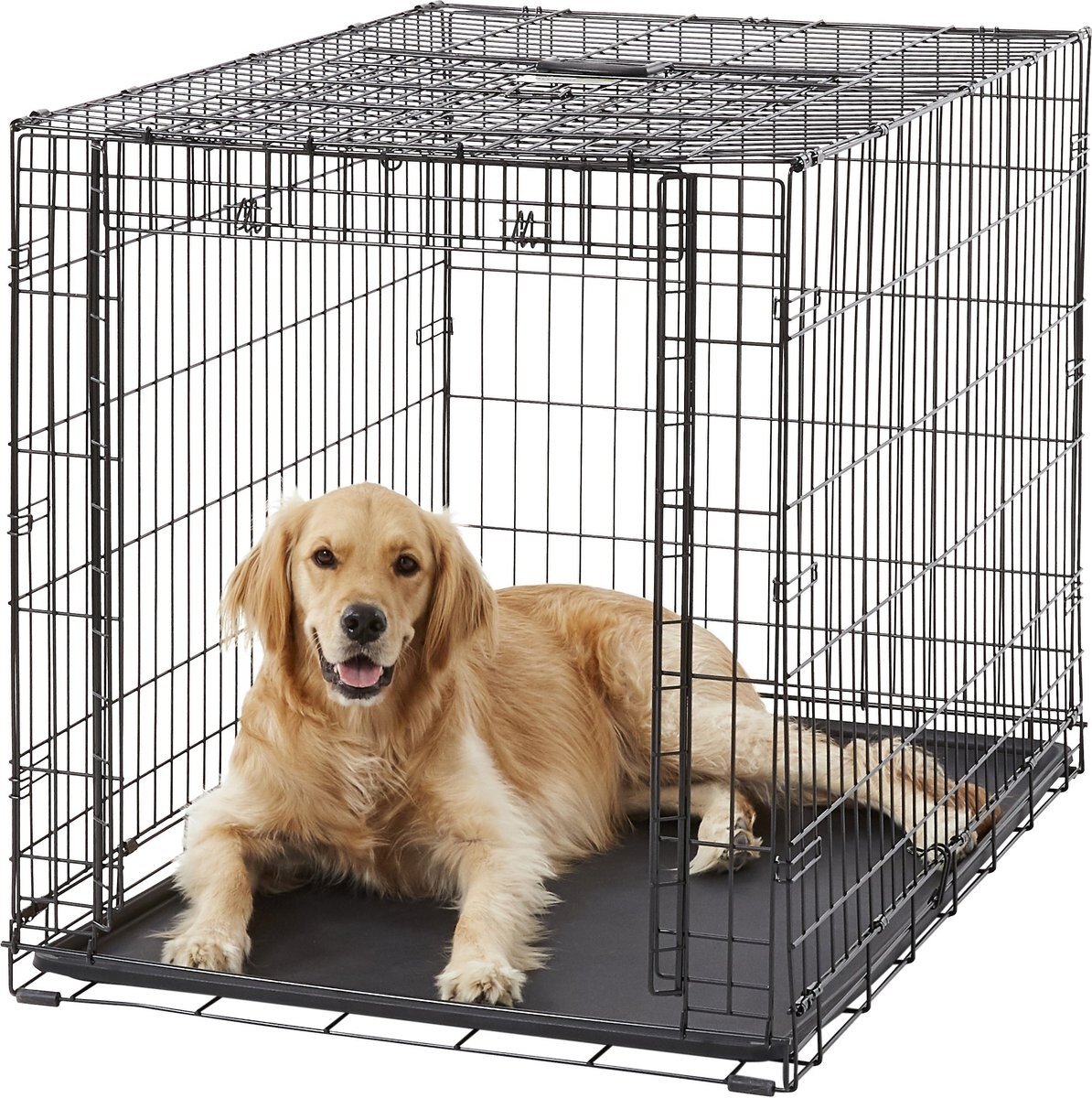 MIDWEST Ovation Single Door Collapsible Wire Dog Crate, 42-in - Chewy.com