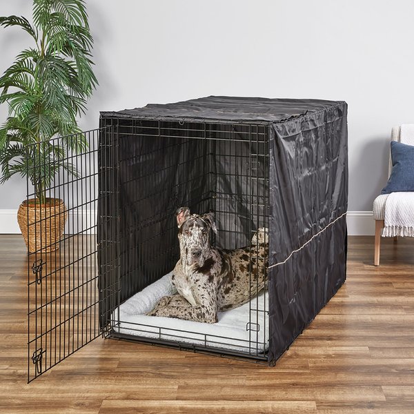 MIDWEST Quiet Time Crate Cover, 54-in, Black, Giant - Chewy.com