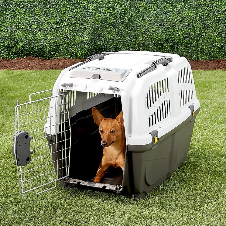 Plastic Dog Crates & Kennels (Free Shipping) | Chewy