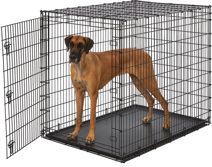 Xxl Dog Crate (Free Shipping) | Chewy