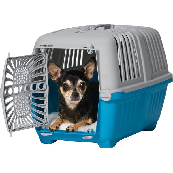 MIDWEST Spree Plastic Dog & Cat Kennel, Blue, 19-in - Chewy.com