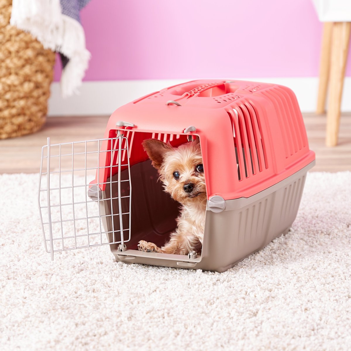 MIDWEST Spree Plastic Dog & Cat Kennel, Red, 19-in - Chewy.com