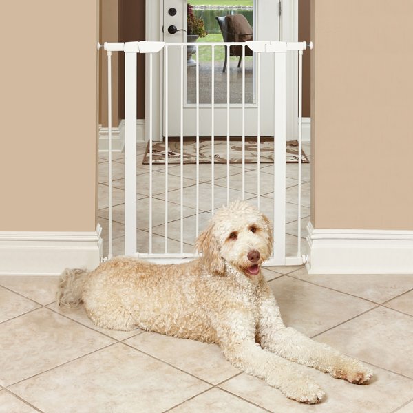 CARLSON PET PRODUCTS Extra Wide Walk-Thru Dog Gate with Pet Door ...