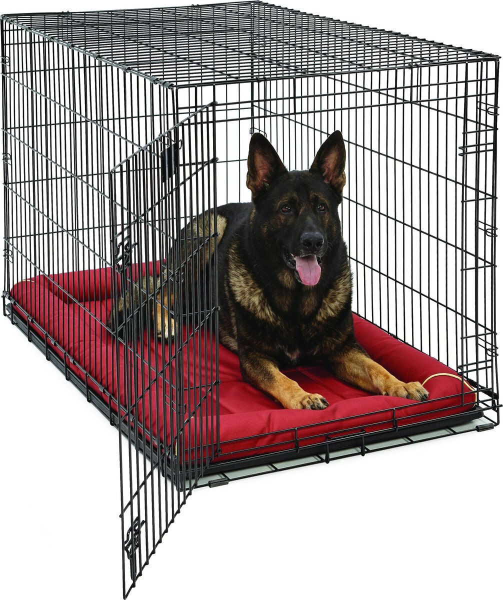 MIDWEST Ultra Durable Bolster Cat & Dog Bed, Brick, 48-inch - Chewy.com