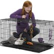 MIDWEST Wabbitat Rabbit Home, 37-in - Chewy.com