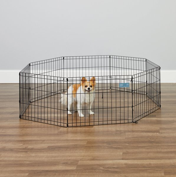 MIDWEST Wire Dog Exercise Pen, Black E-Coat, 18-in - Chewy.com