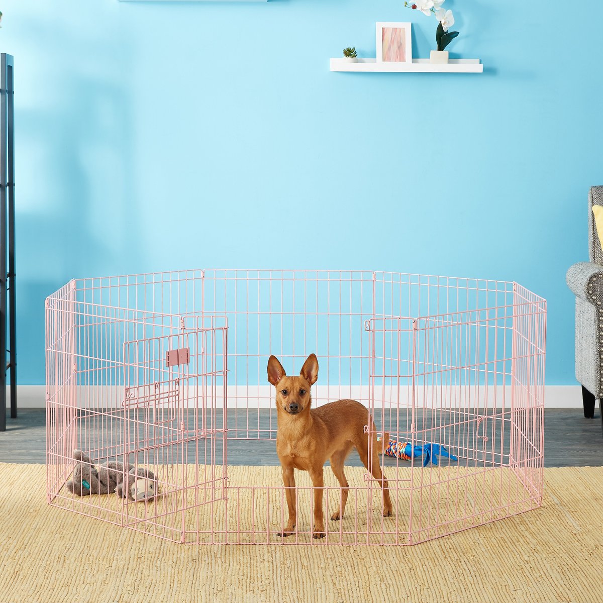 MIDWEST Wire Dog Exercise Pen with Full MAX Lock Door, Pink, 24-in ...
