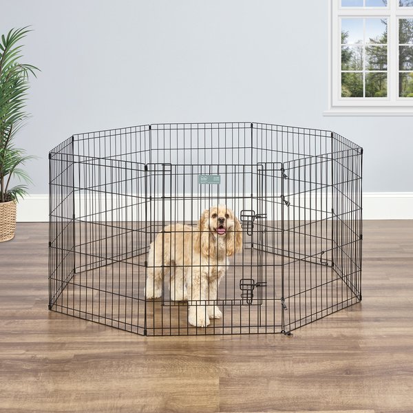 MidWest Wire Dog Exercise Pen with Step-Thru Door, Black E-Coat | Chewy ...