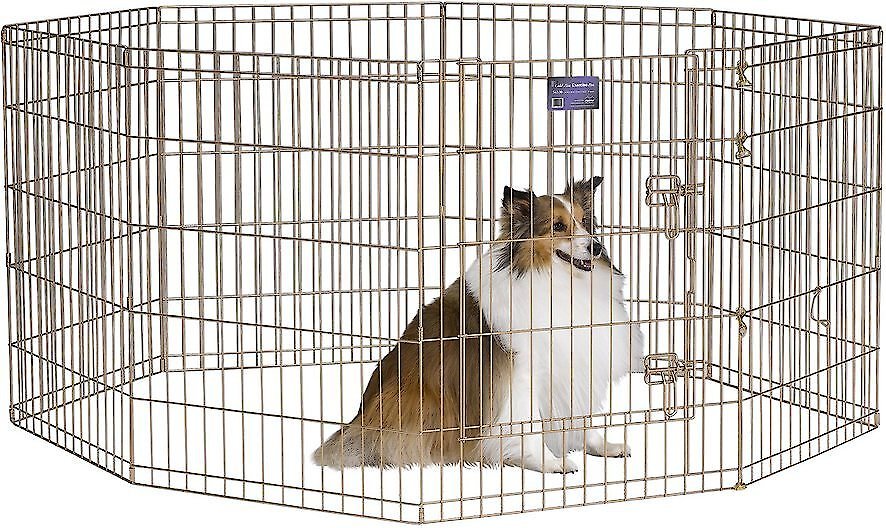 MIDWEST Wire Dog Exercise Pen with Step-Thru Door, Gold Zinc, 30-in ...