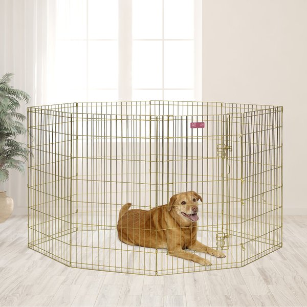 PETMATE 8-Panel Wire Dog Exercise Pen with Door, Black, X-Large - Chewy.com
