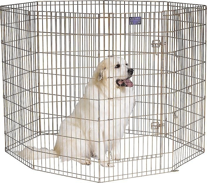 MIDWEST Wire Dog Exercise Pen with Step-Thru Door, Gold Zinc, 48-in ...