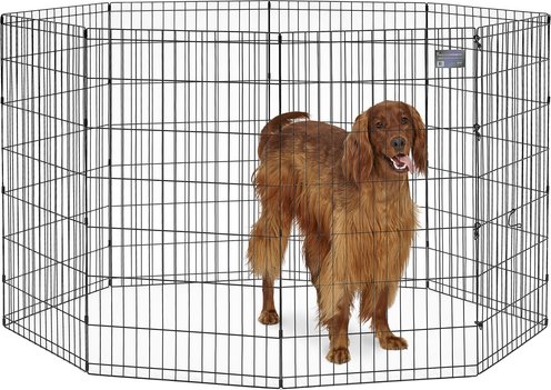 Cat Cages & Playpens: Indoor & Outdoor, Low Prices (Free Shipping) | Chewy