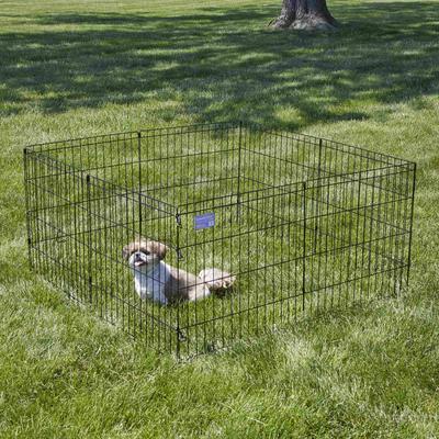 MIDWEST Wire Foldable Dog & Cat Exercise Pen, Black, Small: 24-in ...