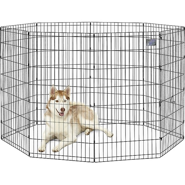 MIDWEST Wire Dog Exercise Pen with Step-Thru Door, Gold Zinc, 48-in ...