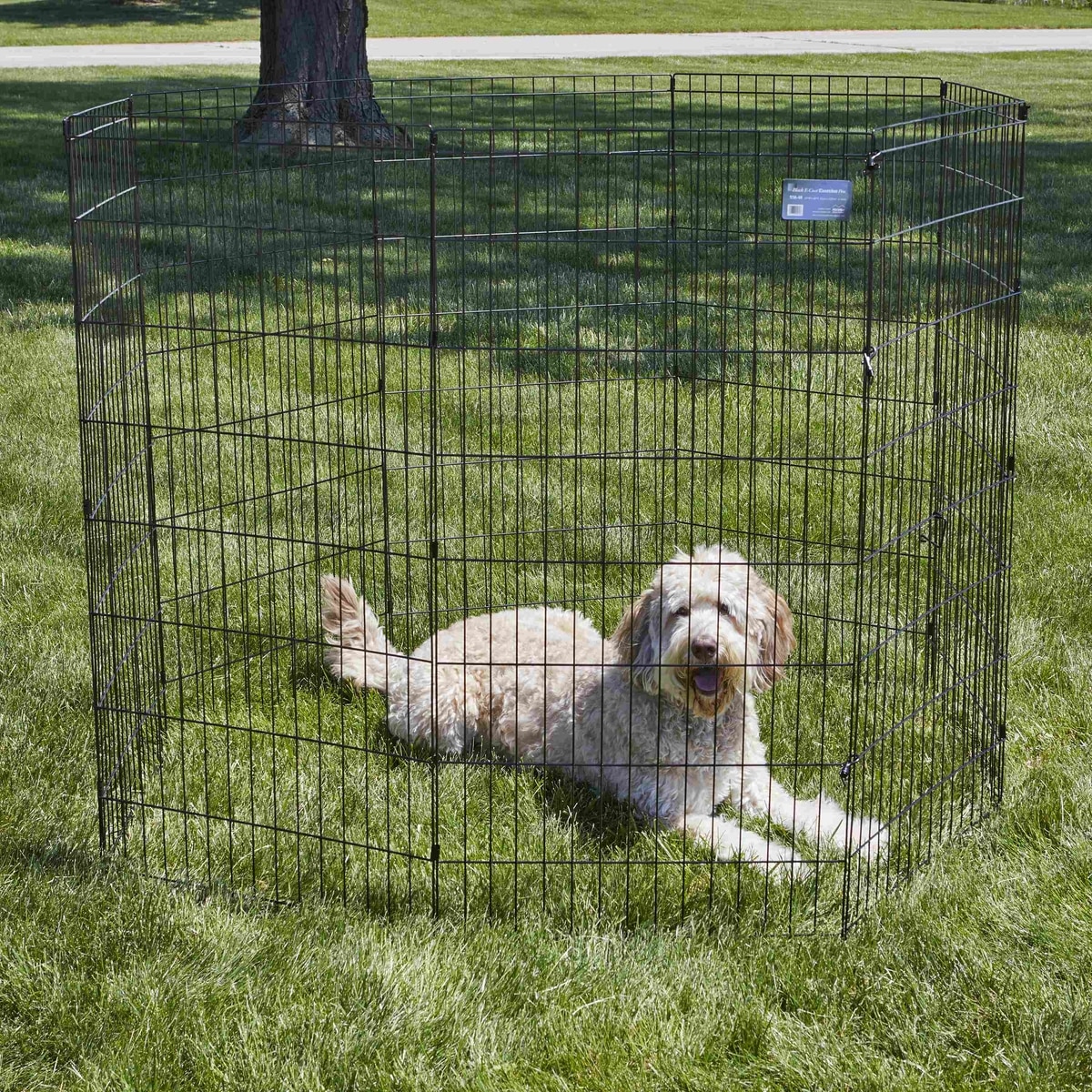 MIDWEST Wire Foldable Dog & Cat Exercise Pen, Black, X-Large: 48-in ...