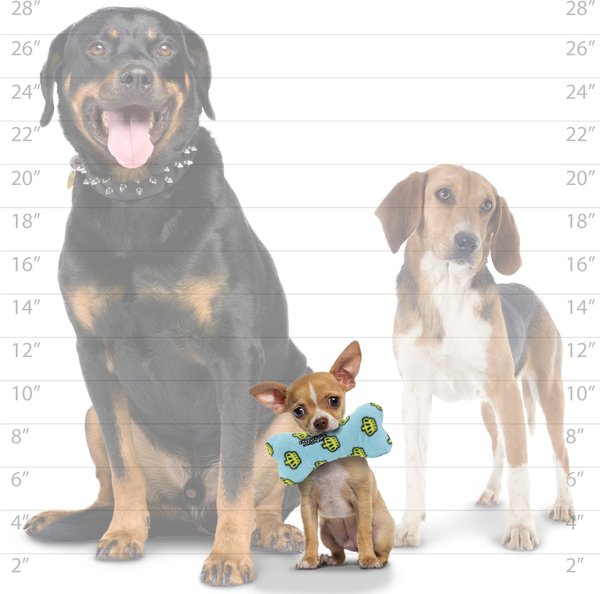 MIGHTY Bone Squeaky Plush Dog Toy, Blue - Chewy.com