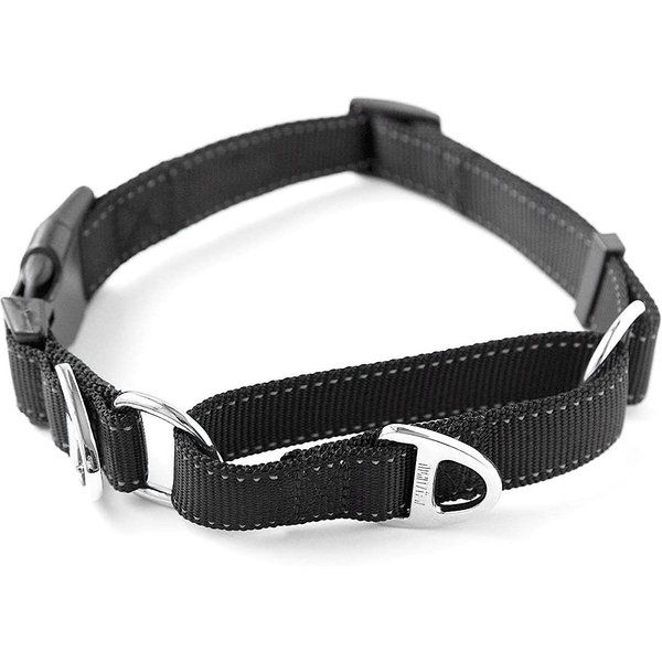 MIGHTY PAW Leather Martingale Dog Collar, Large - Chewy.com