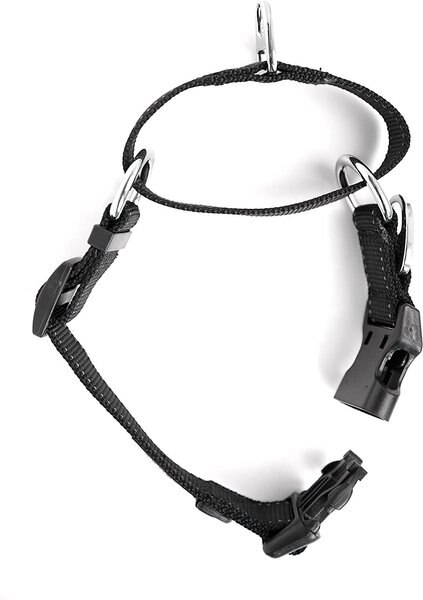 Out of Stock - MIGHTY PAW Nylon Martingale Cinch Dog Collar, Black ...