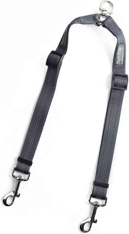 Double Handle Dog Leashes (Free Shipping) | Chewy