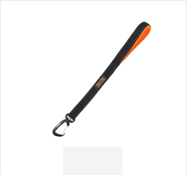 Mighty Paw - Free shipping | Chewy