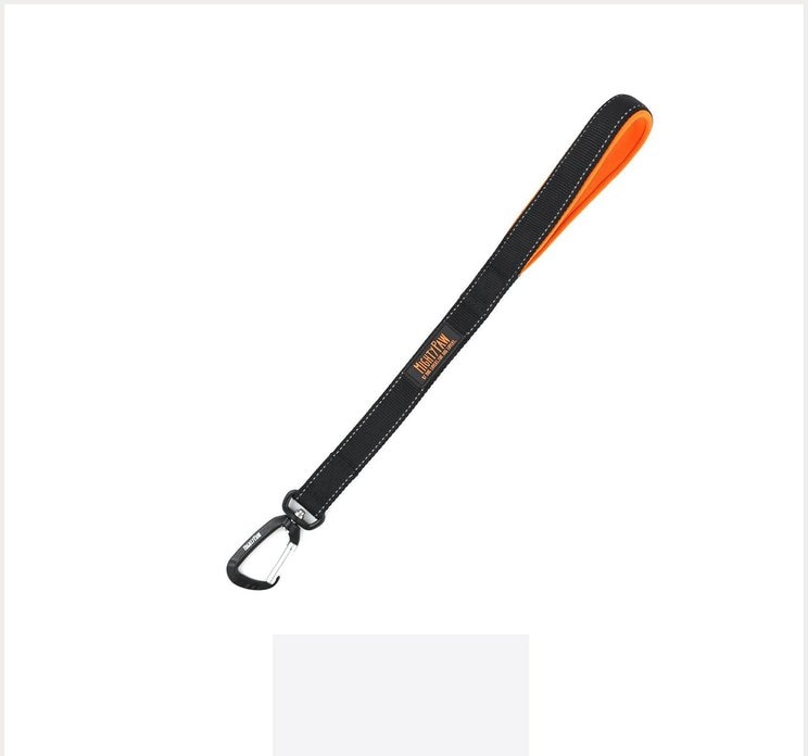 Mighty Paw - Free shipping | Chewy