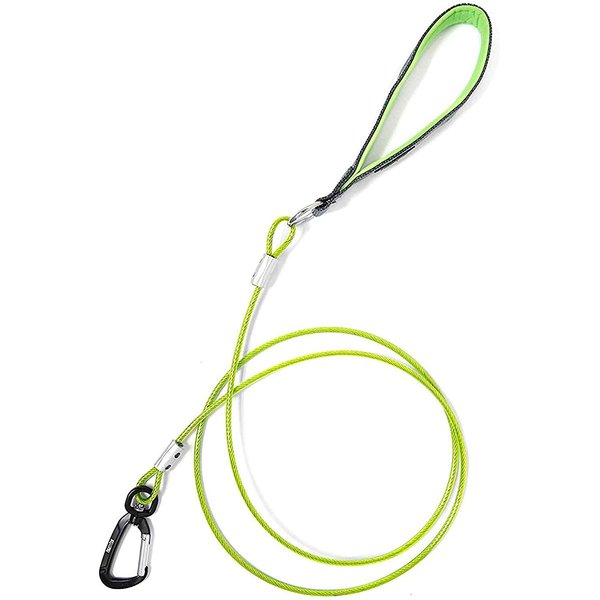 MIGHTY PAW Stainless Steel Chew Proof Cable Leash, 6-ft long, Green ...