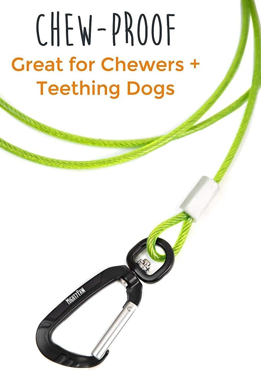 MIGHTY PAW Stainless Steel Chew Proof Cable Leash, 6-ft long, Green ...