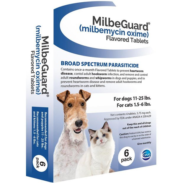 HEARTWORM MEDICINE FOR SMALL DOGS (Free Shipping) | Chewy