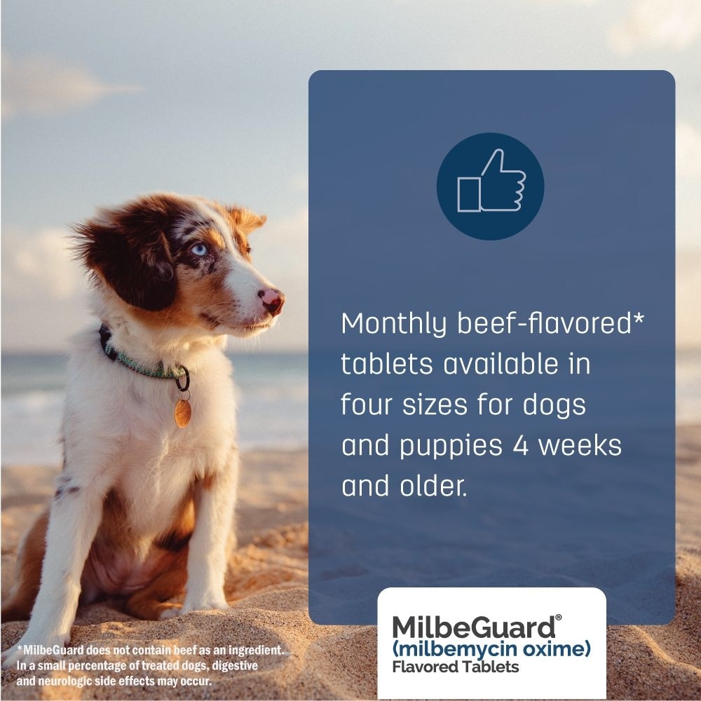 MILBEGUARD Flavored Tablets for Dogs, 51 - 100 lbs, and for Cats, 12.1 -25 lbs (Red Box), 23 mg ...