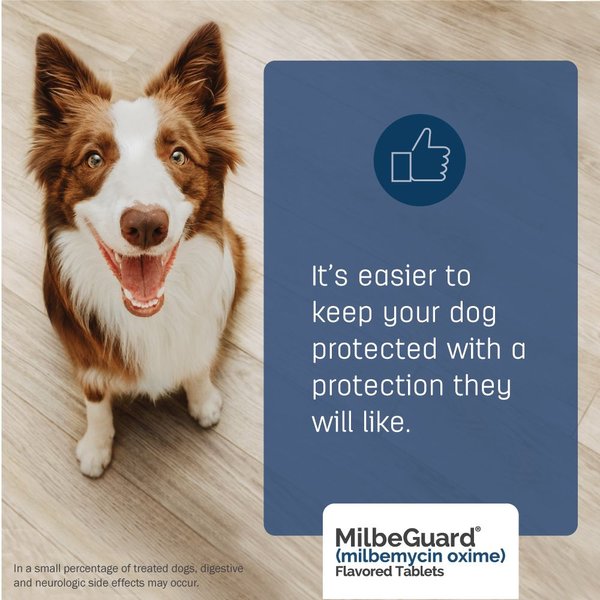 MILBEGUARD Flavored Tablets for Dogs, 51 - 100 lbs, and for Cats, 12.1 ...