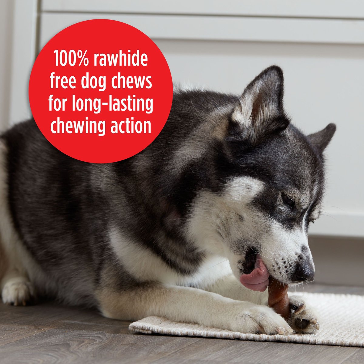 MILK-BONE Flavor Rolls Beefy Cheesy, Yes Please-y! Rawhide Free with ...