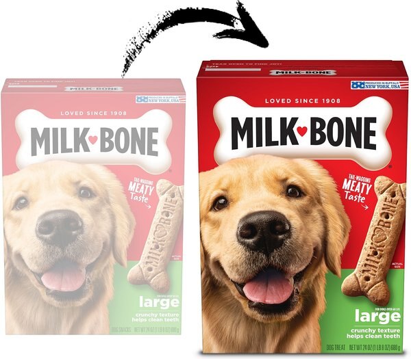 MILK-BONE Original Large Biscuit Dog Treats, 1.5-lb box - Chewy.com