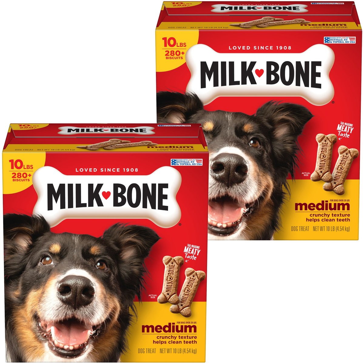 MILK-BONE Original Medium Biscuit Dog Treats, 10-lb box, bundle of 2 ...