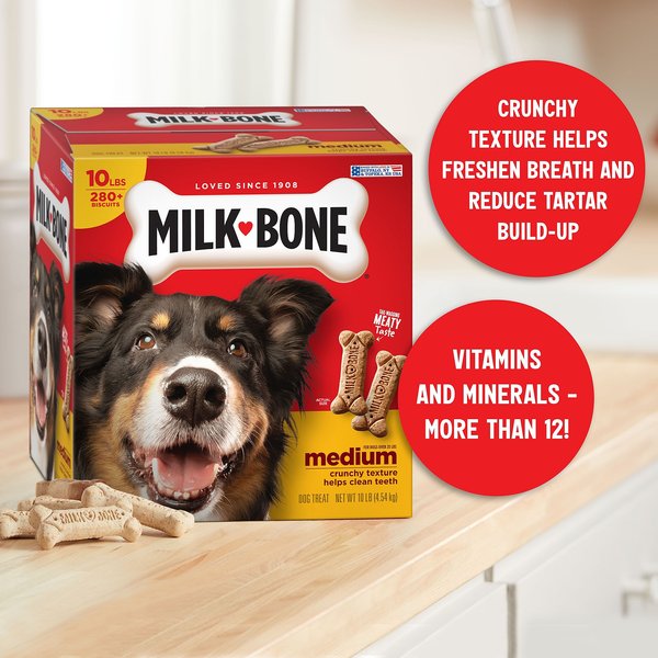 MILK-BONE Original Medium Biscuit Dog Treats, 10-lb box, bundle of 2 ...