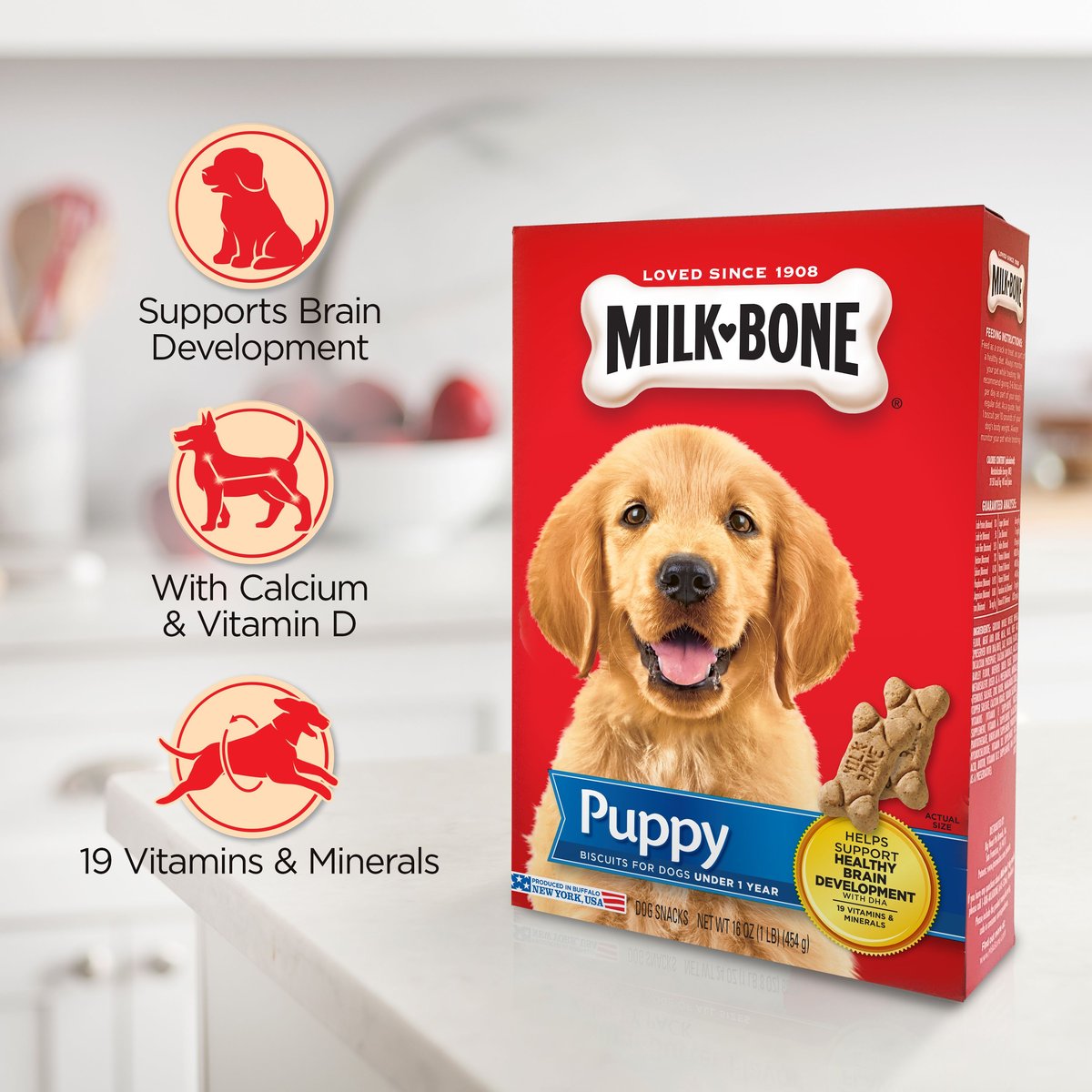 MILK-BONE Original Puppy Biscuit Dog Treats, 16-oz box - Chewy.com