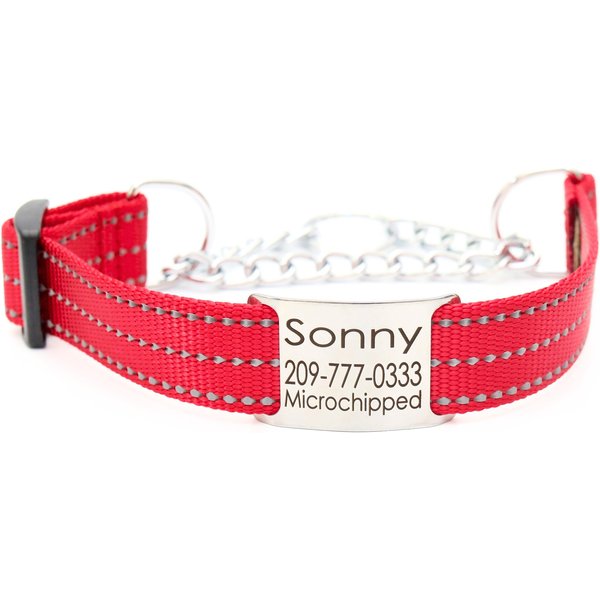 DOG ID Personalized Stainless Steel Dog ID Tag & Collar, Blue, Small ...