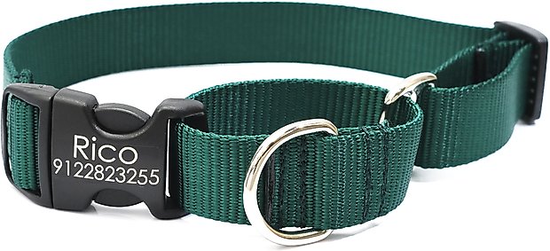 QUICK RELEASE DOG COLLARS (Free Shipping) | Chewy