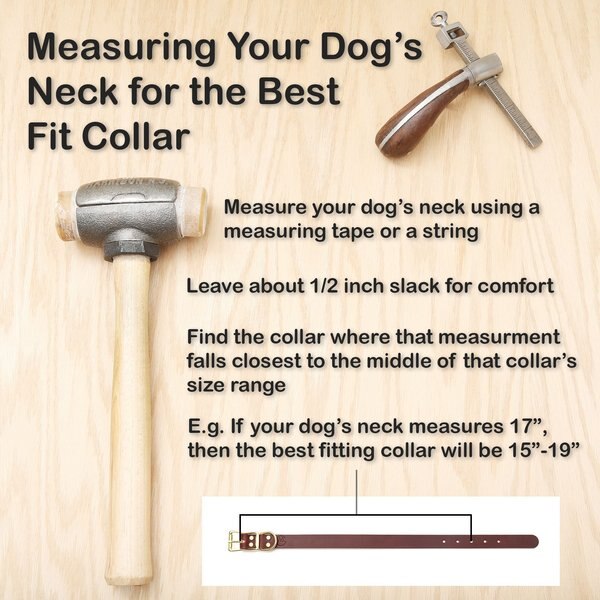 MIMI GREEN Waterproof Reflective with Riveted Name Plate Dog Collar ...